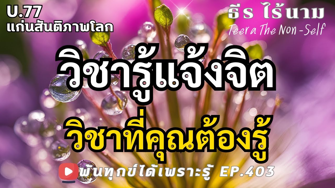 พ้นทุกข์ได้เพราะรู้ – PANYAWIMUTTI : ปัญญาวิมุตติ